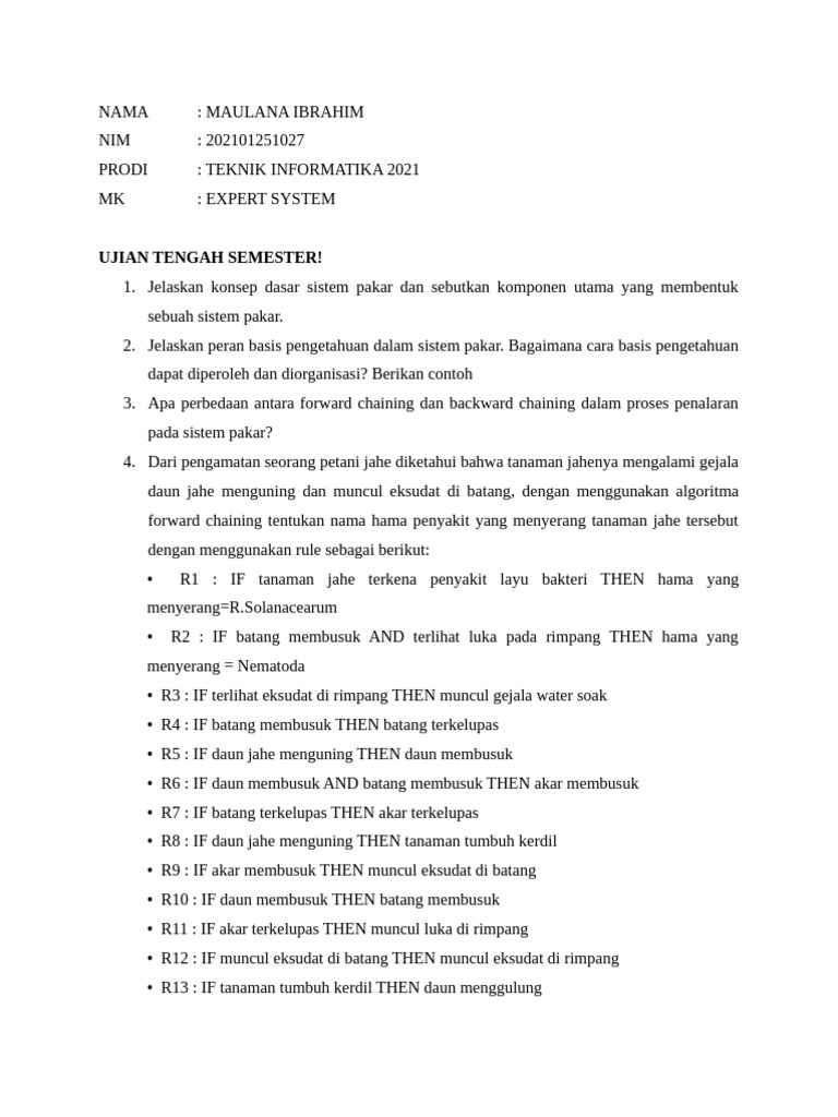 Uts Expert System | PDF
