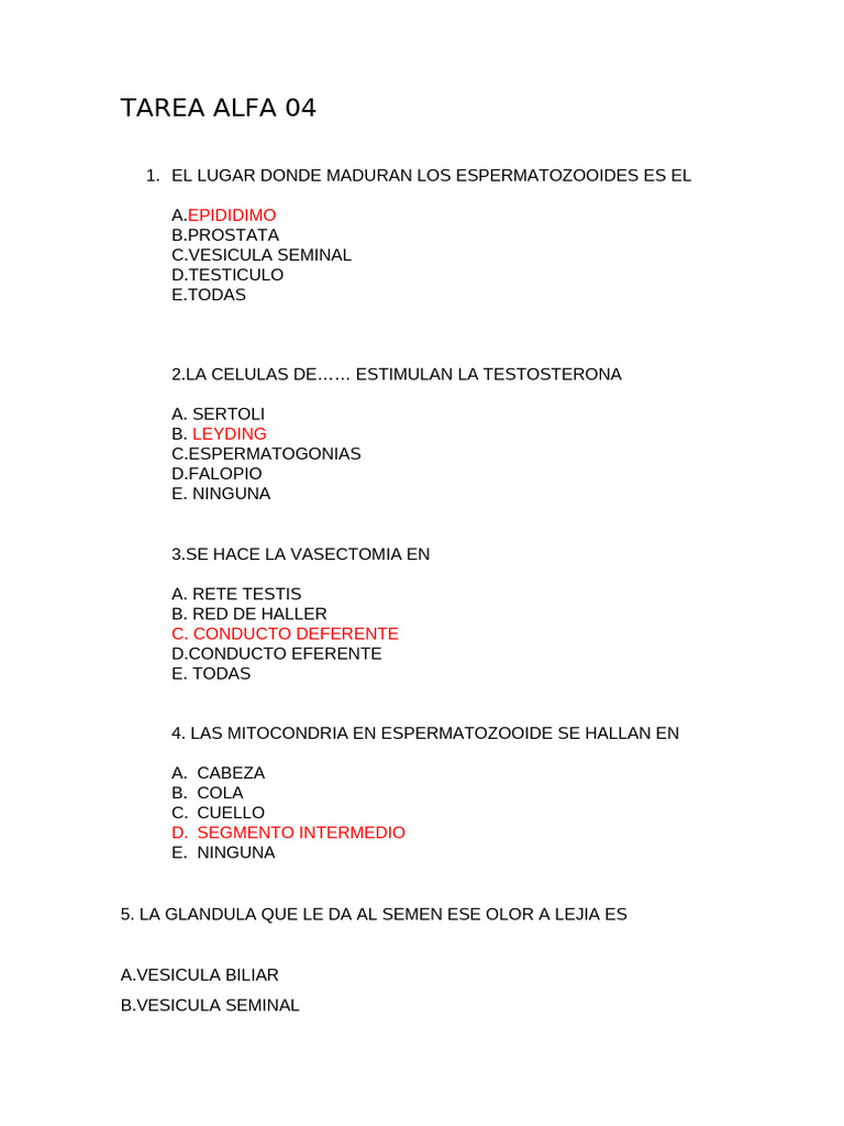 Tarea Alfa 04 | PDF