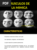 Músculos de La Mímica | PDF | Nariz humana | Anatomía humana