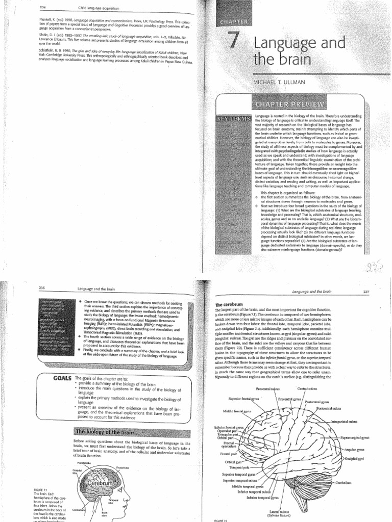 Fasold and Connor-Linton Language and The Brain | PDF