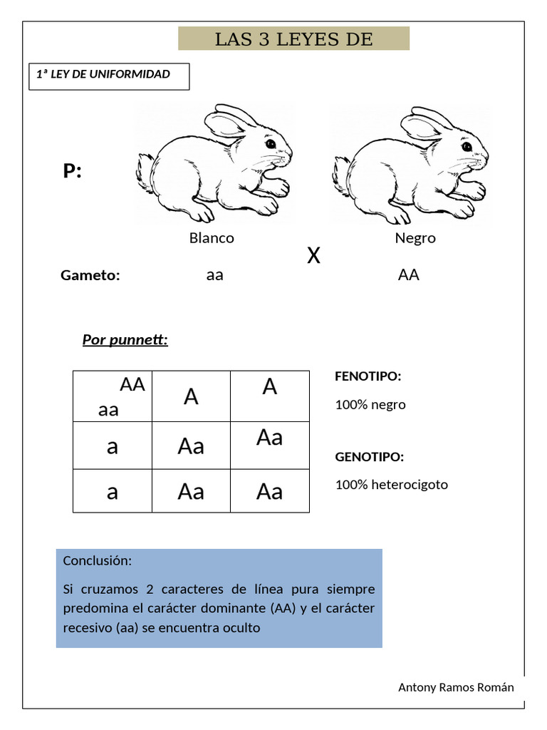 1º Ley Mendel | PDF