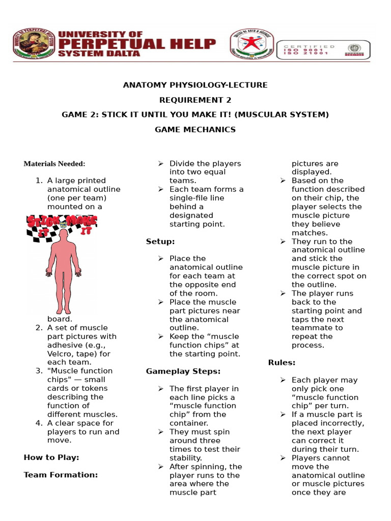 Muscular System Game Mechanics | PDF