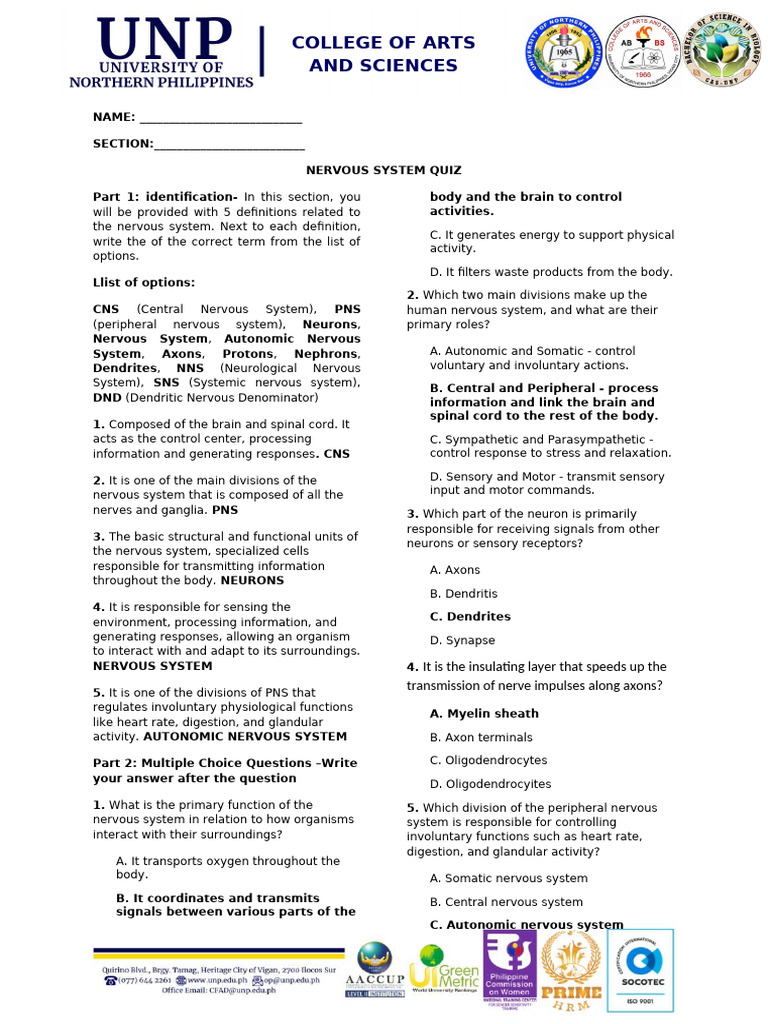 ANSWER KEY | PDF | Nervous System | Neuron