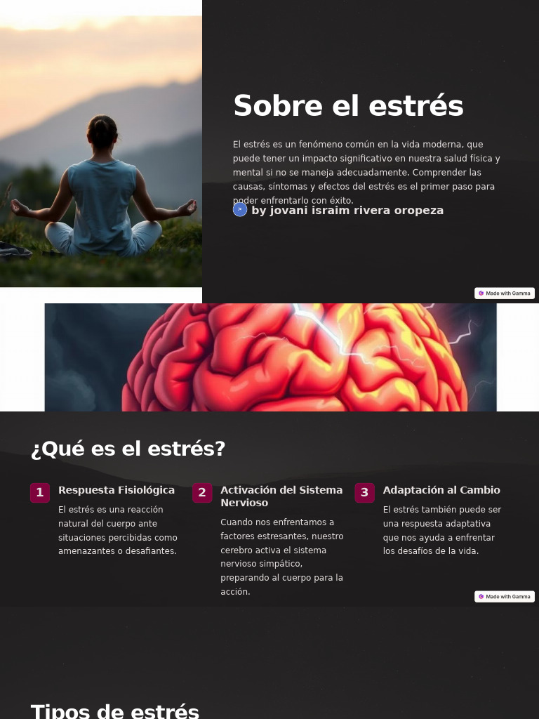 Estrés: Causas, Síntomas y Manejo | PDF | Estrés (biología) | Ansiedad