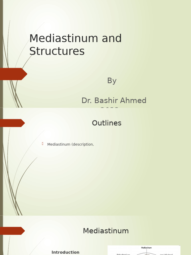 Mediastinum and Structures | PDF | Heart Valve | Aorta
