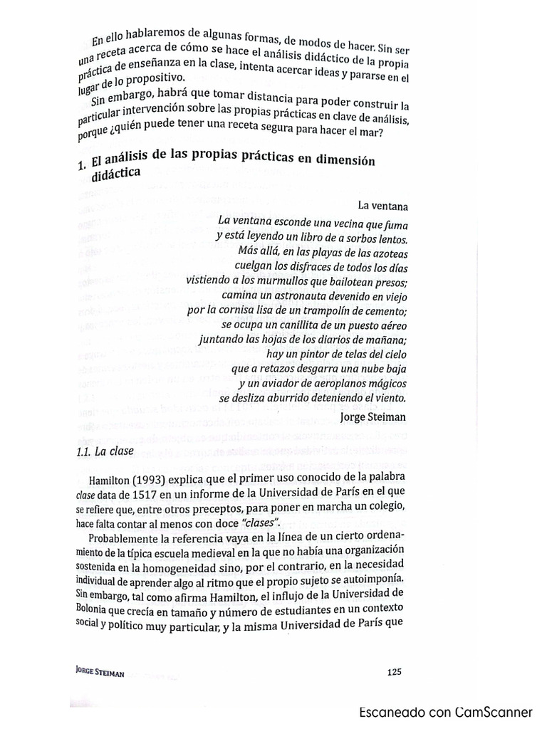 Pensar La Clase Steiman | PDF