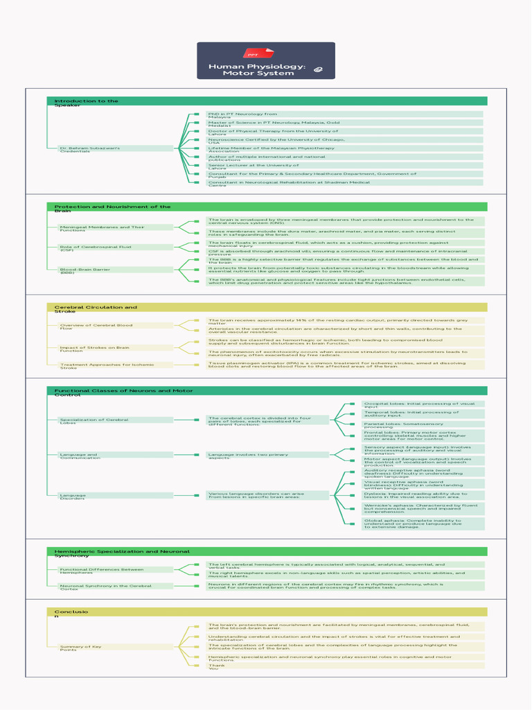 Human Physiology - Motor System | PDF | Aphasia | Stroke