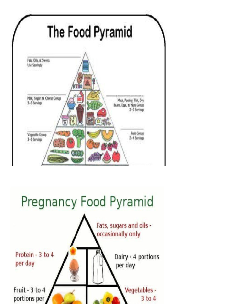 Food Pyramid For Pregnant Women | PDF