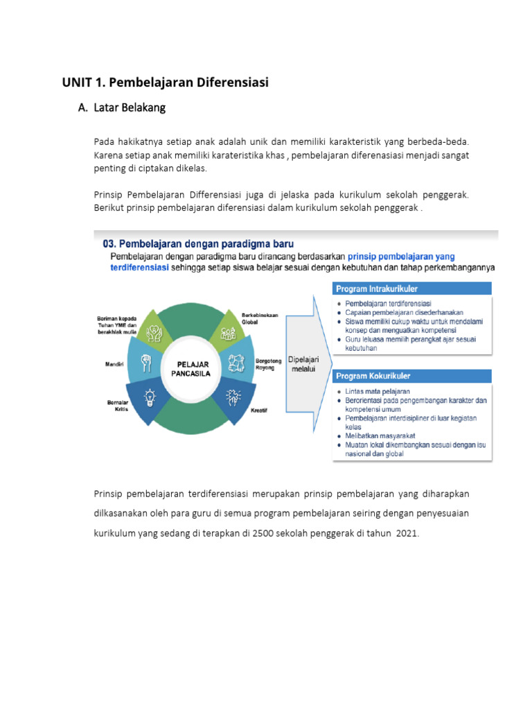 Rangkuman Materi Diferensiasi Learning | PDF