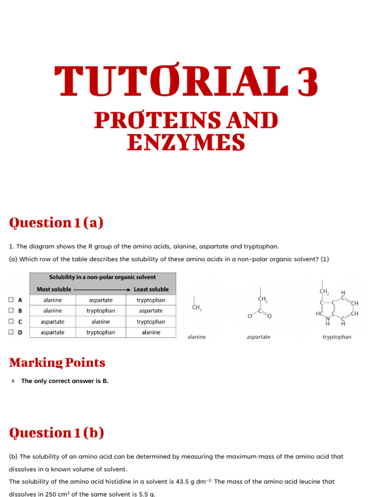 Proteins and Enzymes: Solubility & Structure | PDF | Active Site | Enzyme