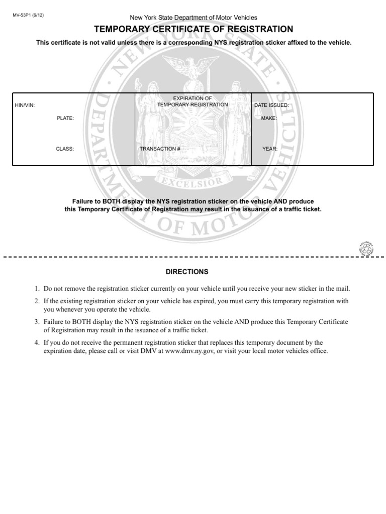 NYS Temporary Registration Guidelines | PDF