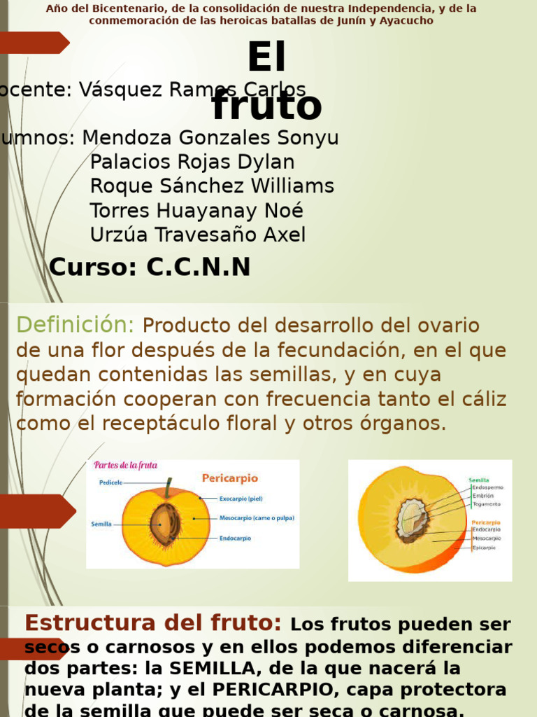 Expo CCNN | PDF