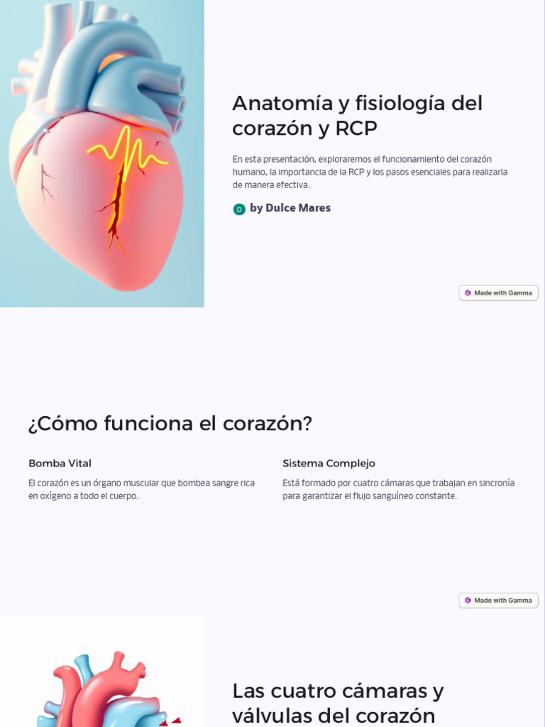 Anatomia y Fisiologia Del Corazon y RCP | PDF