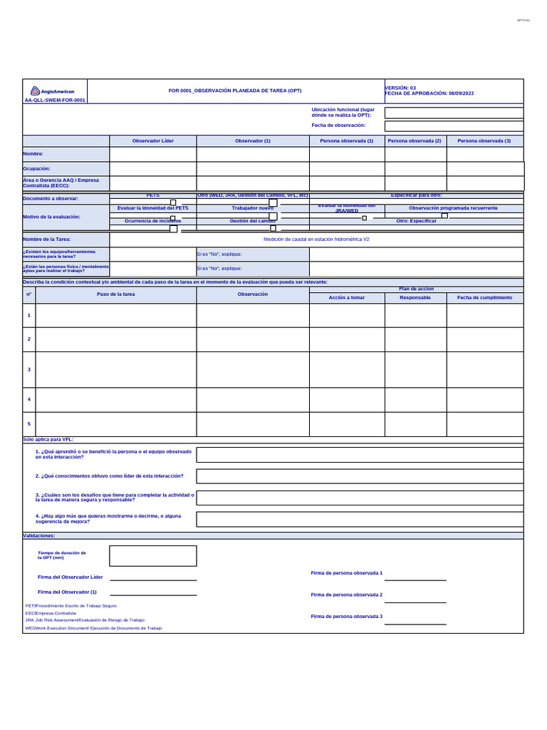 Formato OPT 2024 | PDF