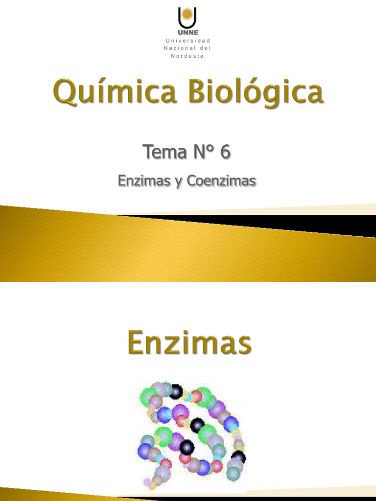 Tema N° 6. Enzimas y Coenzimas | PDF | Enzima | Nicotinamida adenina dinucleótida