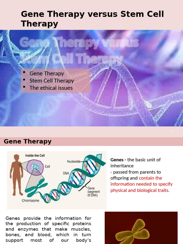 Week 6 Lecture | PDF | Gene Therapy | Stem Cell