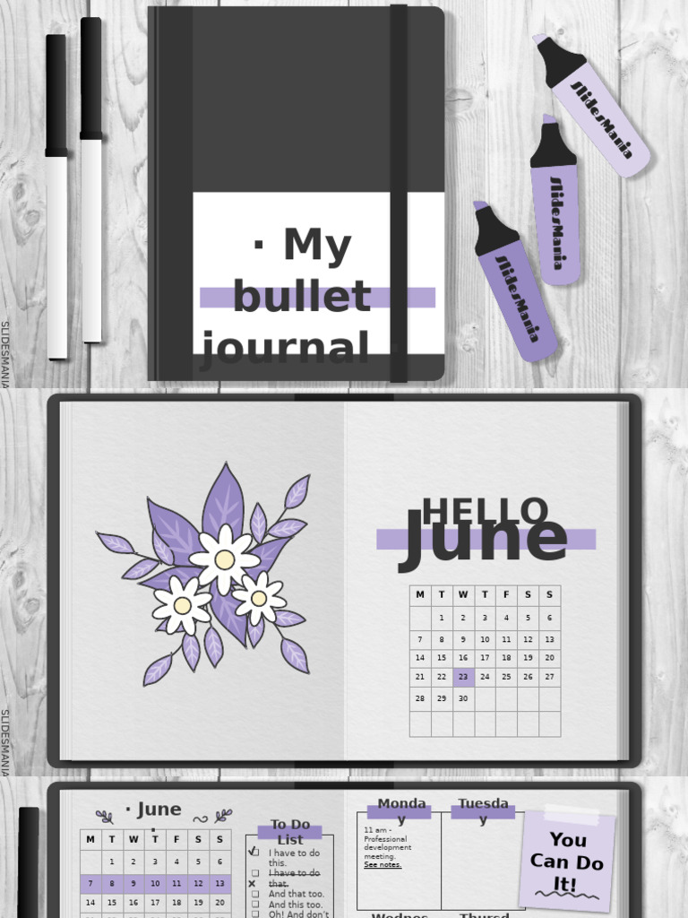 08 Bullet Journal | PDF | Office Suites | Software