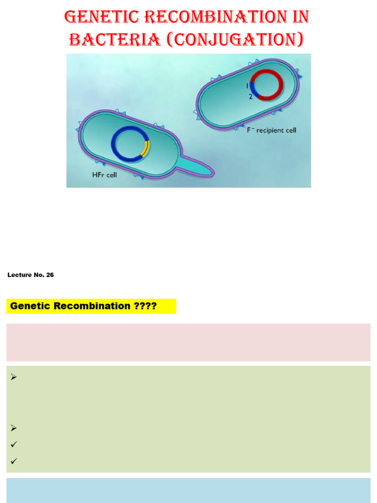 Genetic Recombination in Bacteria | PDF | Plasmid | Genetics