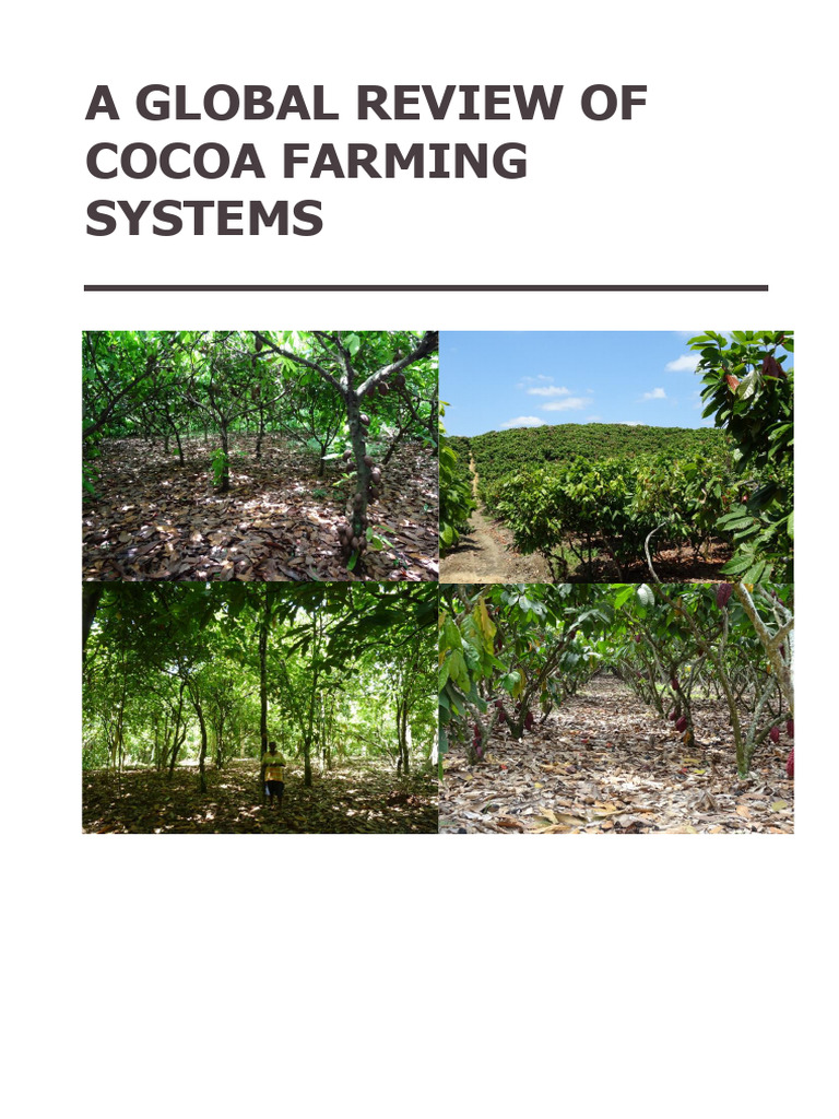Global Cocoa Farming Systems Review | PDF | Cocoa Bean | Agriculture