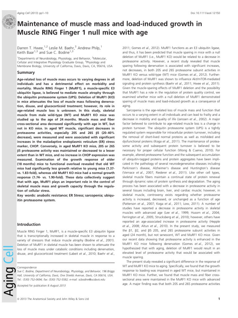 mice muscle | PDF | Proteasome | Skeletal Muscle