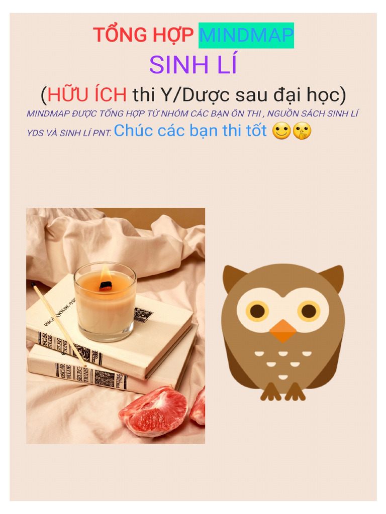 Mindmap Sinh Lí | PDF