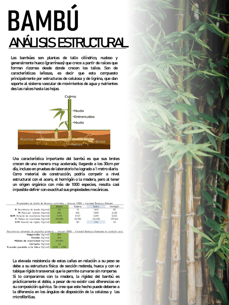 Análisis Estructural del Bambú | PDF