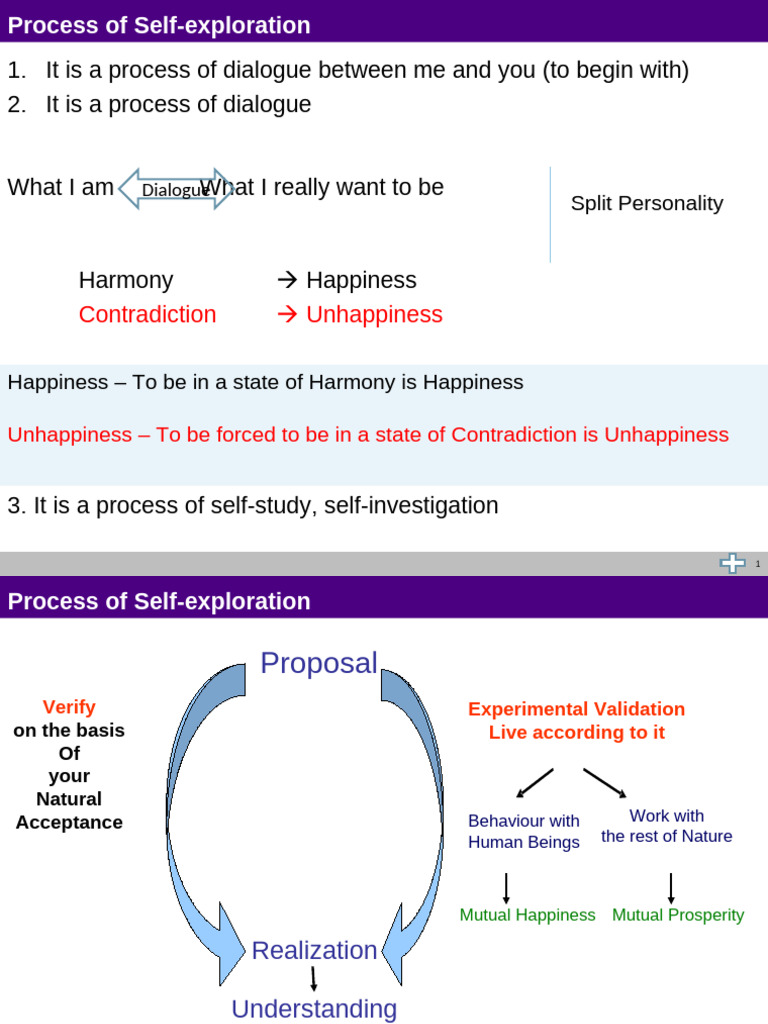 HVPE 0.0 Process of Self Study | PDF | Happiness | Psychology