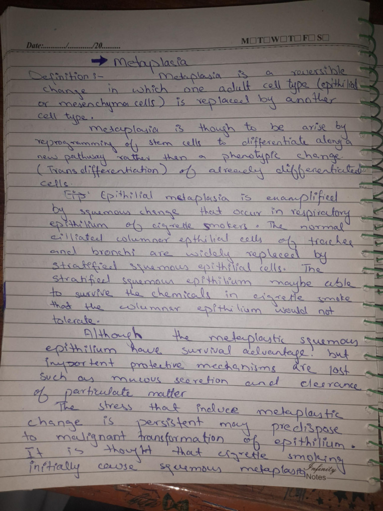 patho chap 2 (part 2) | PDF