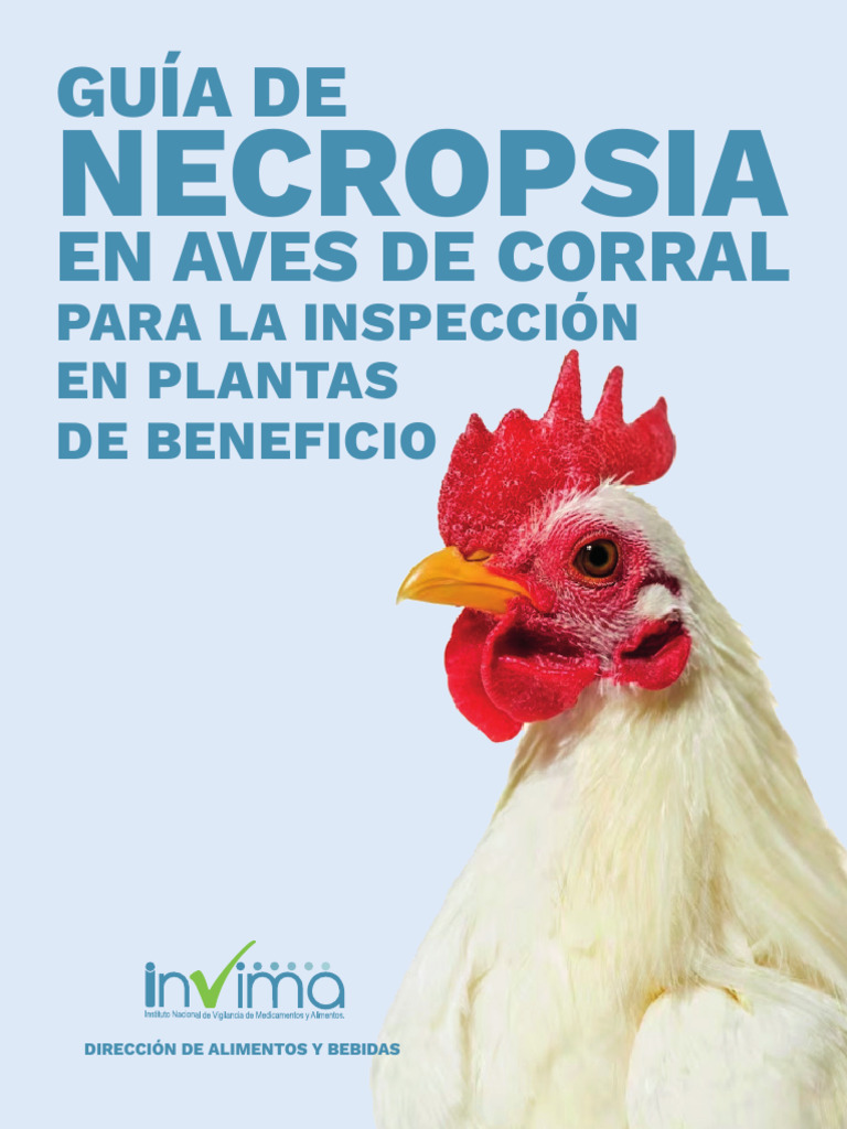 Guía de Necropsia en Aves de Corral | PDF | Carne | Corazón