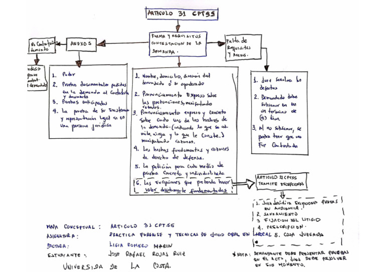 MAPA MENTAL ARTICULO 31 CPTSS | PDF