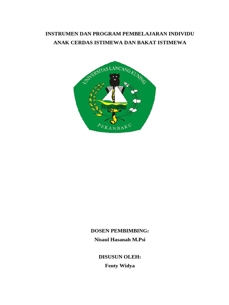 Cibi Instrumen Dan Program Pembelajaran Individu | PDF