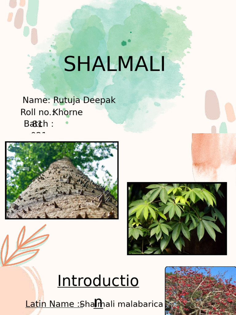 Rutuja Khorne (81) - Shalmali | PDF | Botany | Plants