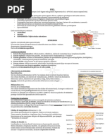 Glandulas Apocrinas | PDF | Piel | Epitelio