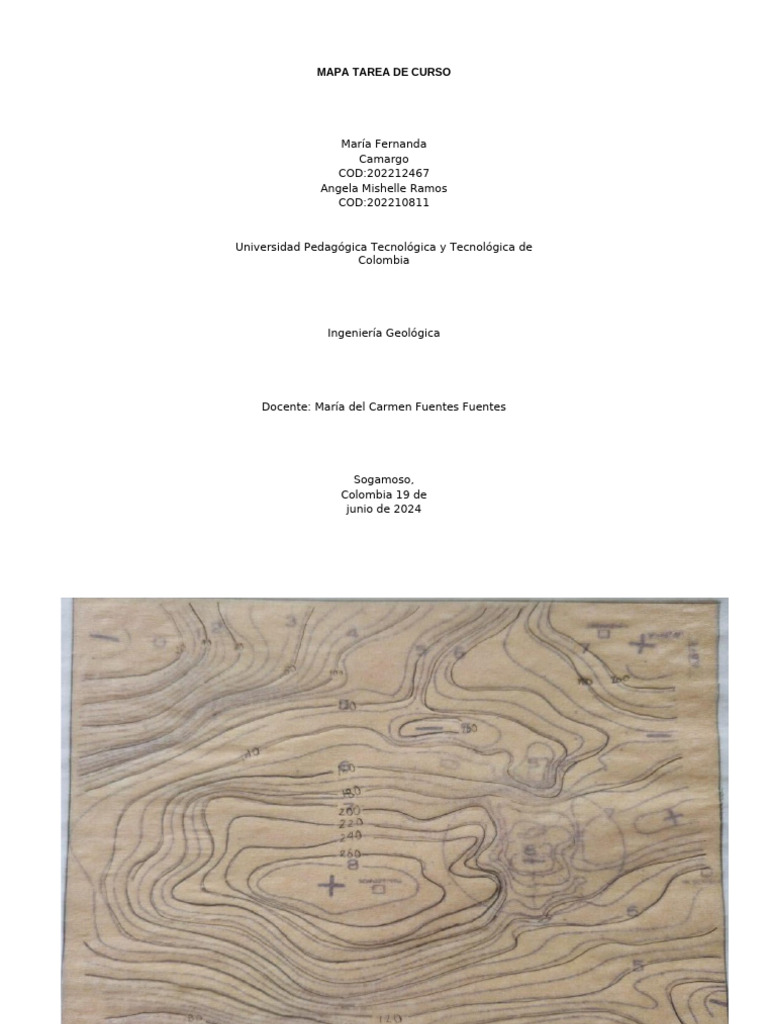 Mapa Tarea de Curso | PDF