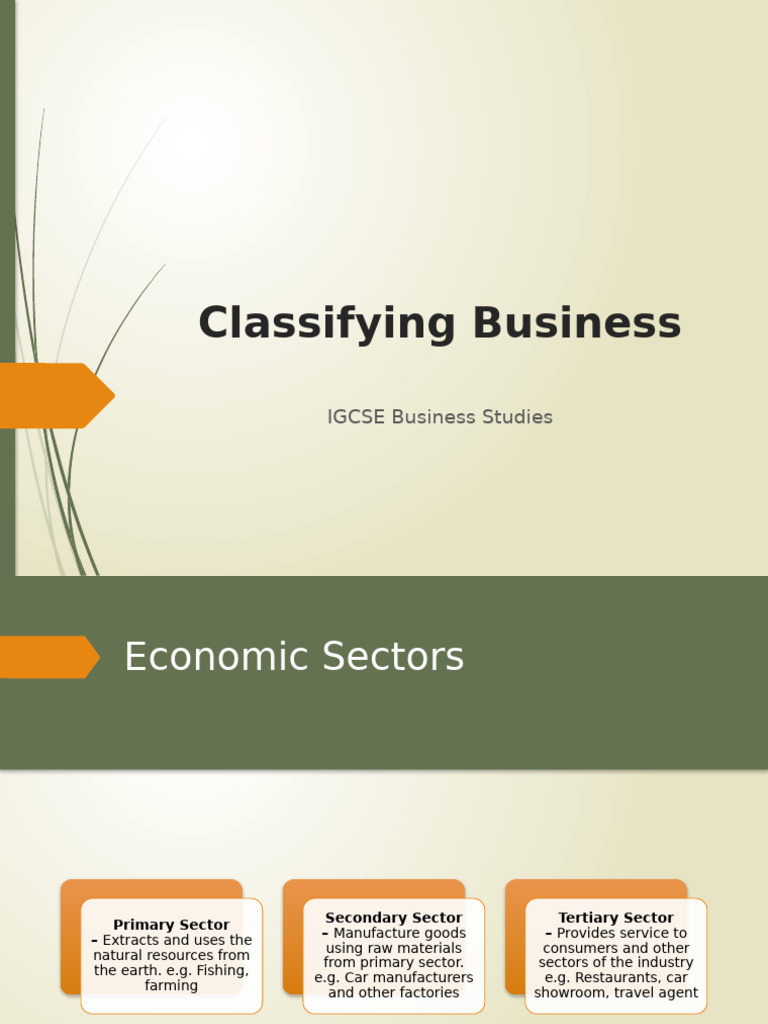 2.-Classifying-Business (BST, IGCSE) | PDF