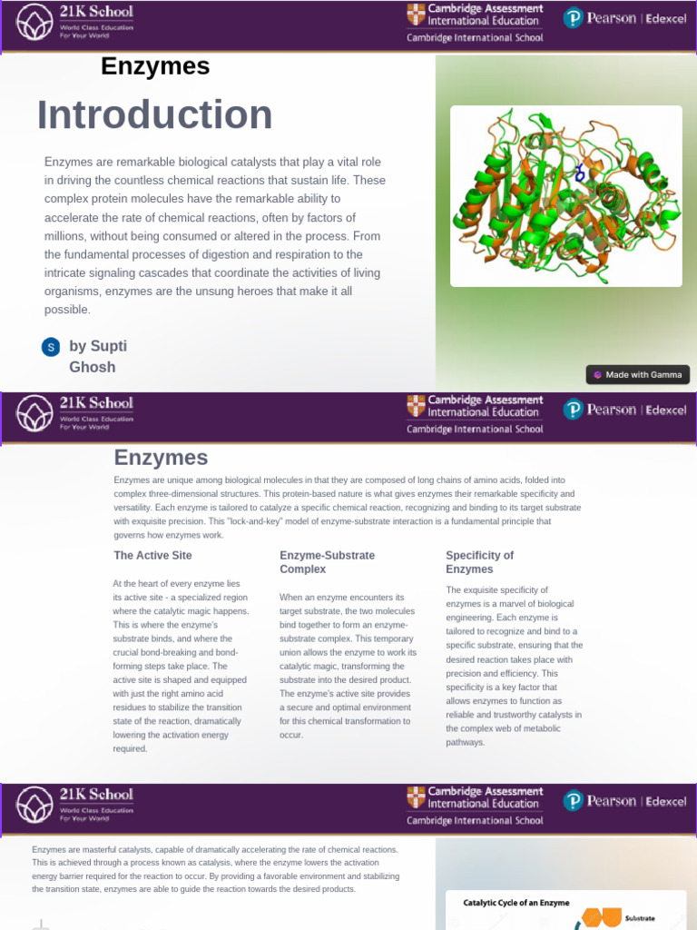 Introduction-to-Enzymes.pptx (1) | PDF | Enzyme | Active Site