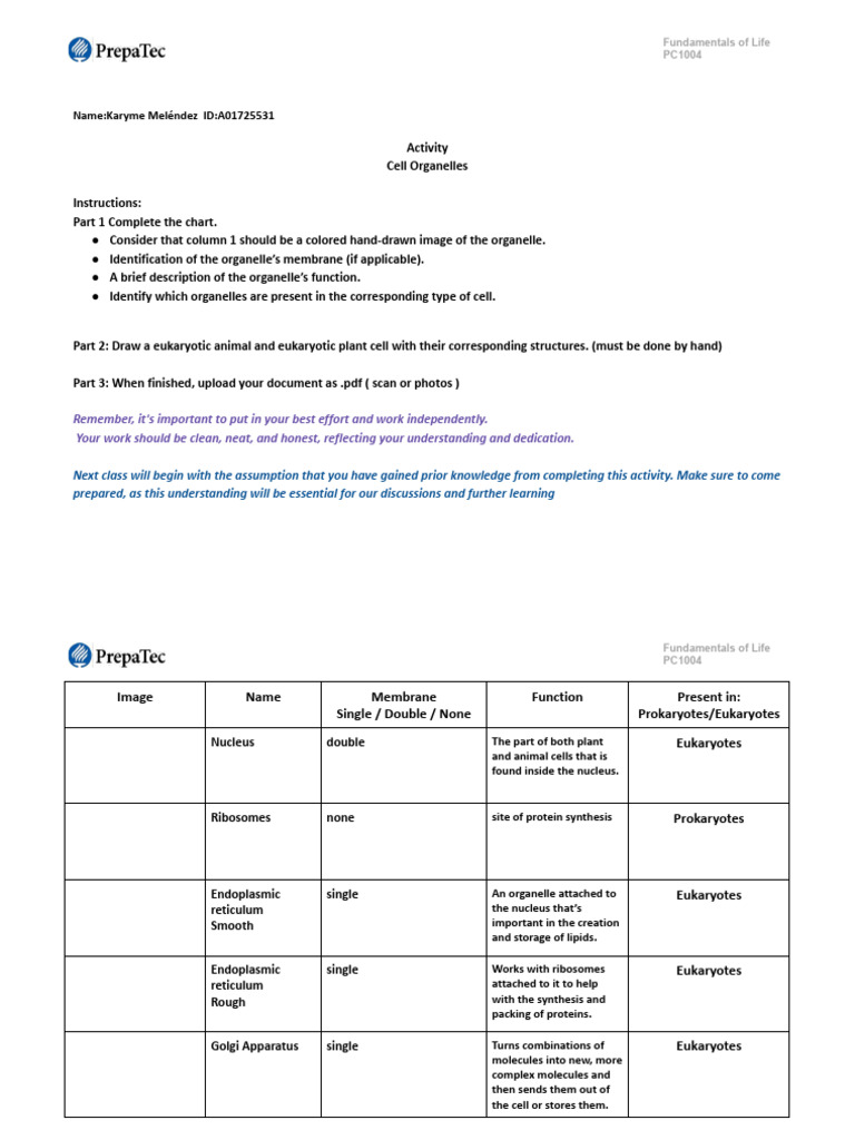 Copia de Cell Organelles Chart | PDF | Cell (Biology) | Eukaryotes