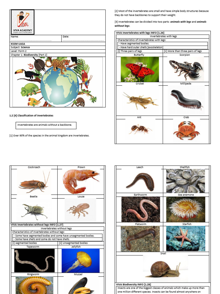 Biodiversity [1.2] | PDF | Invertebrate | Seed
