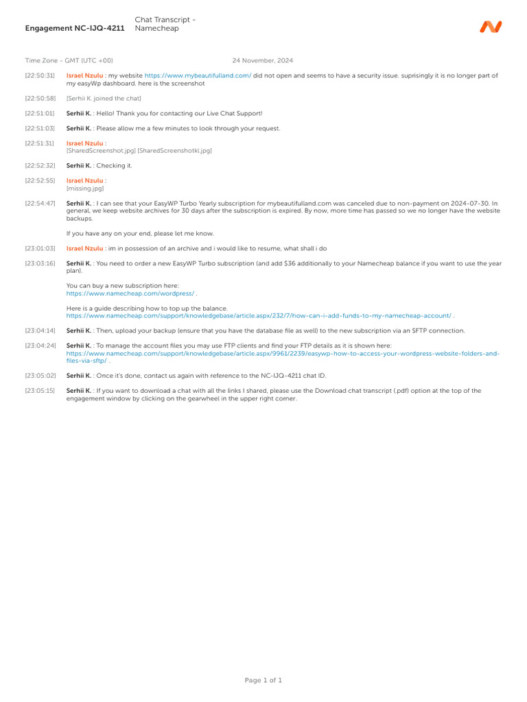 Chat Transcript 25 Nov 2024 | PDF | Computing | Software