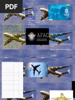 Organigrama Afac 2024 05062024 | PDF