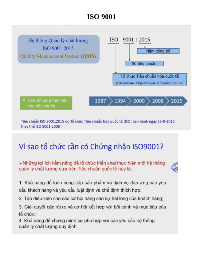 Iso 9001 | PDF