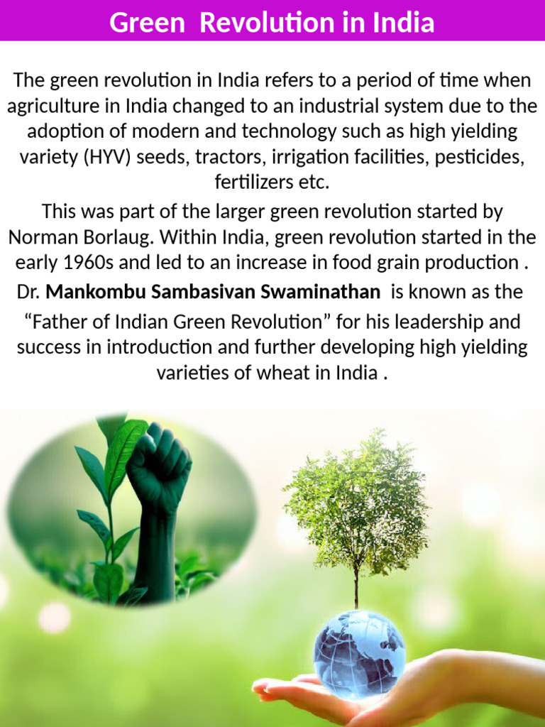 Green Revolution in India Indu | PDF | Green Revolution | Food Security