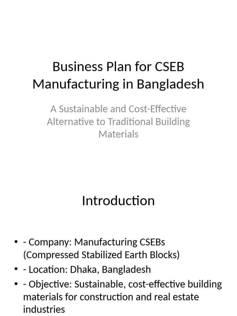 CSEB Business Plan Presentation | PDF