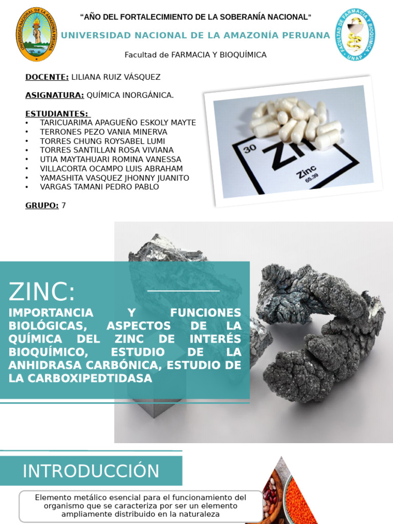 Grupo 07-Zinc | PDF | Péptido | Zinc