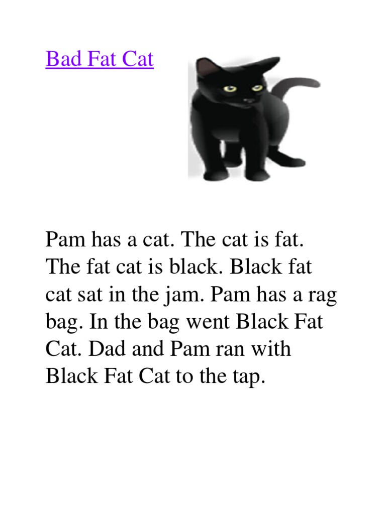 Bad Fat Cat's Misadventures | PDF