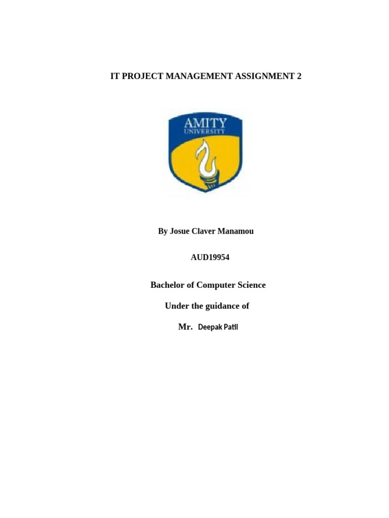 IT PM assignment 2 | PDF | Performance Indicator | Market (Economics)