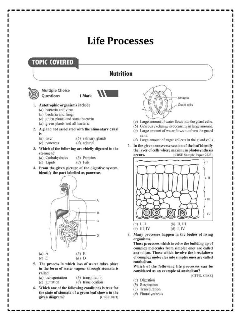 Ch5 Life Process | PDF