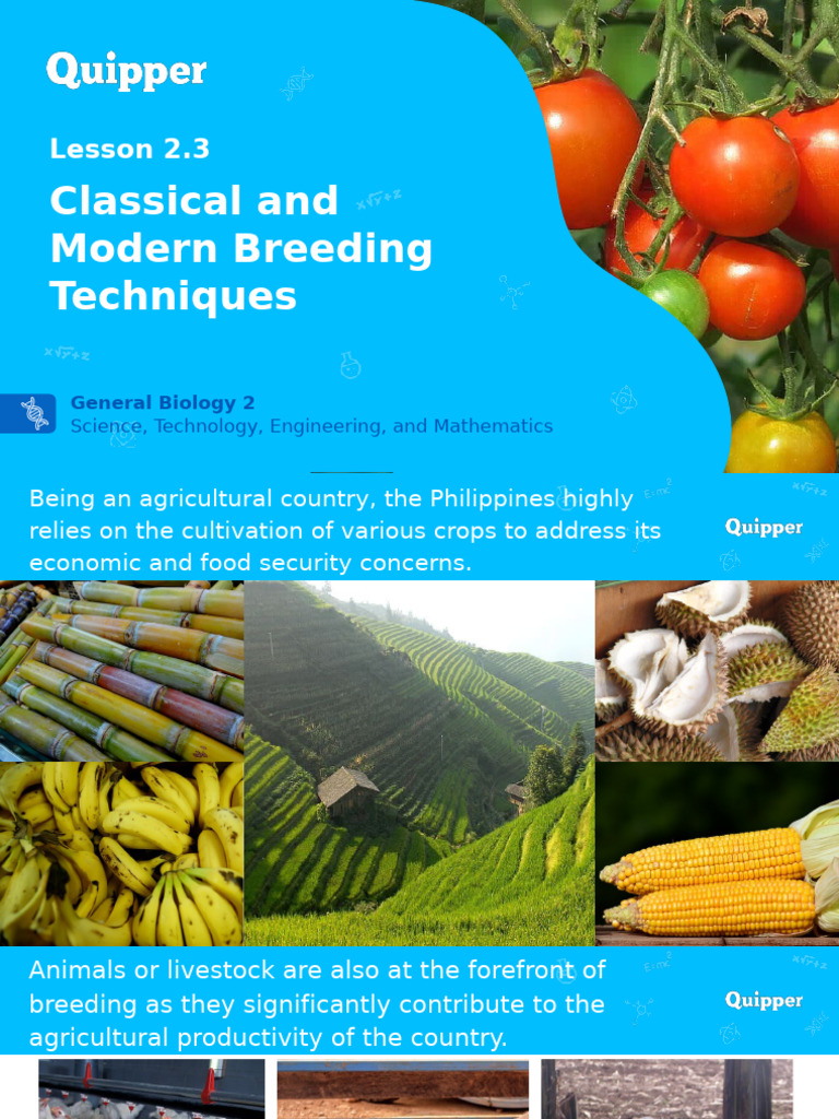 Bio2 11 - 12 Q3 0203 PF FD | PDF | Plant Breeding | Selective Breeding