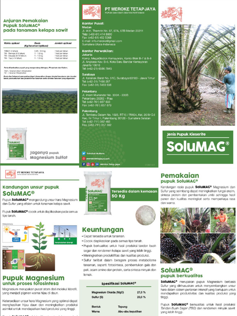 Solu Mag | PDF