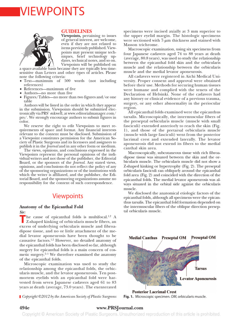 Anatomy of Epicanthal Folds | PDF | Human Nose